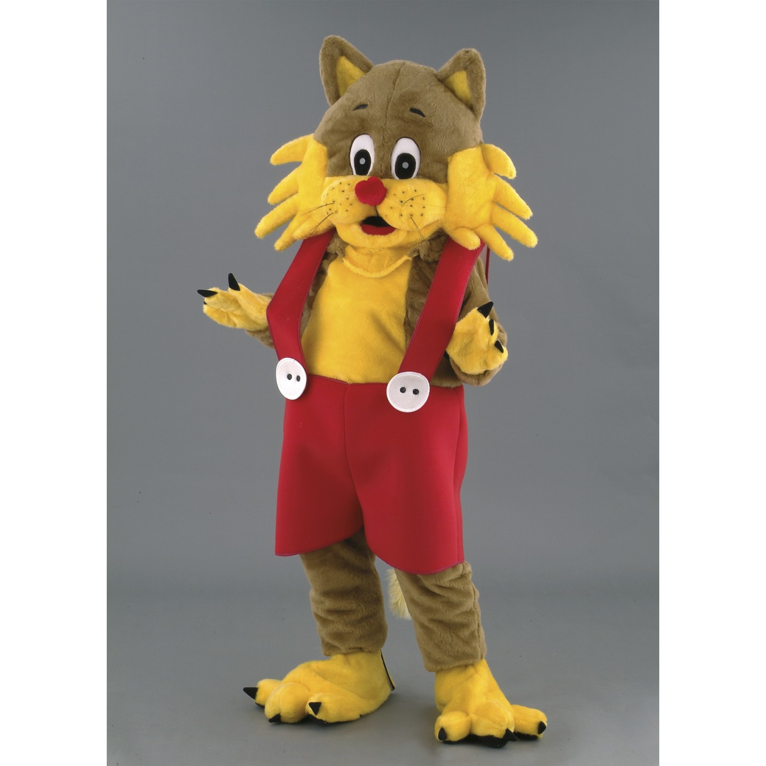 Crazy Cat Mascot Costume