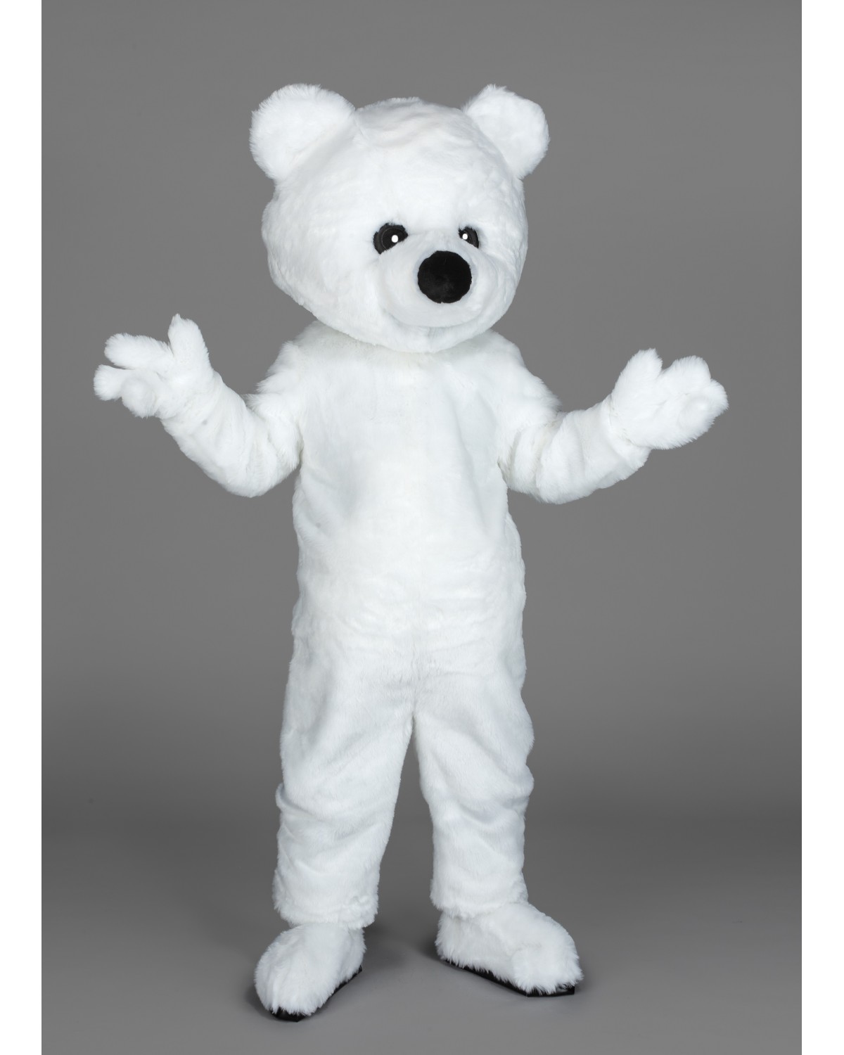 Teddy Mascot costume